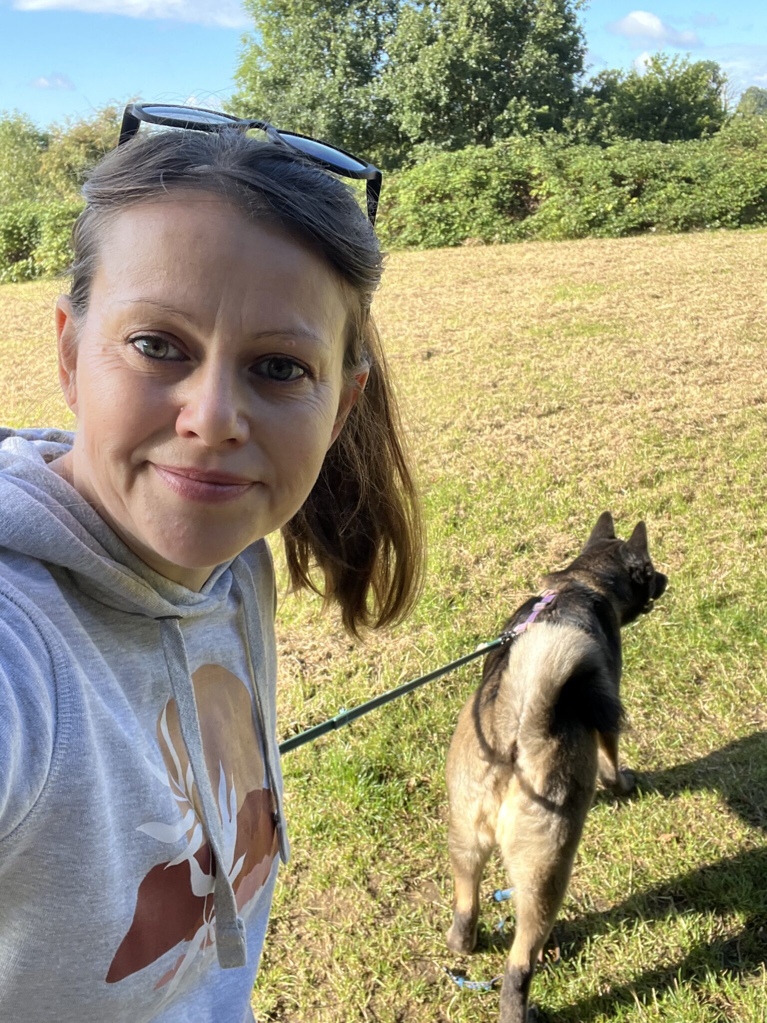 Canine Dreams - One Chippenham